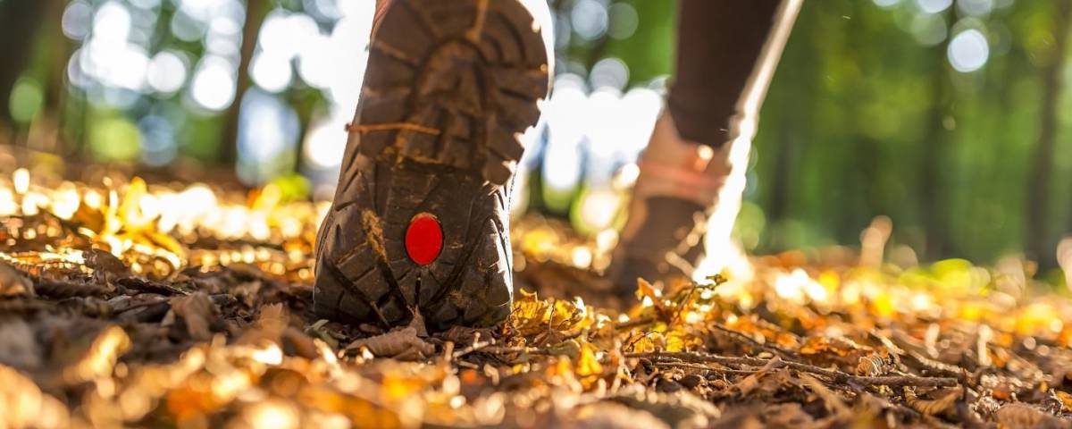 Mont Rigaud - Montérégie - Québec